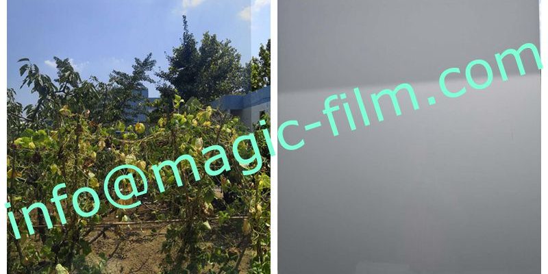 Adjustable Window Tint: Instant Privacy Solutions - PDLC Film, Smart ...